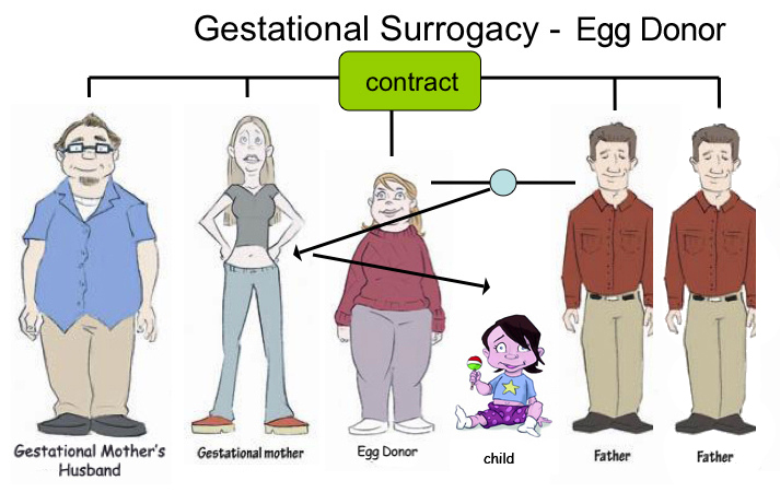 Gestational Surrogacy – Wensvaders – Draagmoederschap